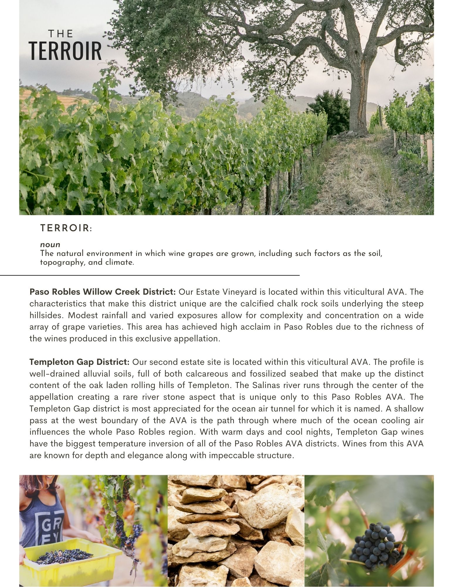 Grower Profiles | Barton Family Wines